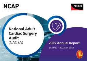 2025 Annual Summary Reports - NICOR